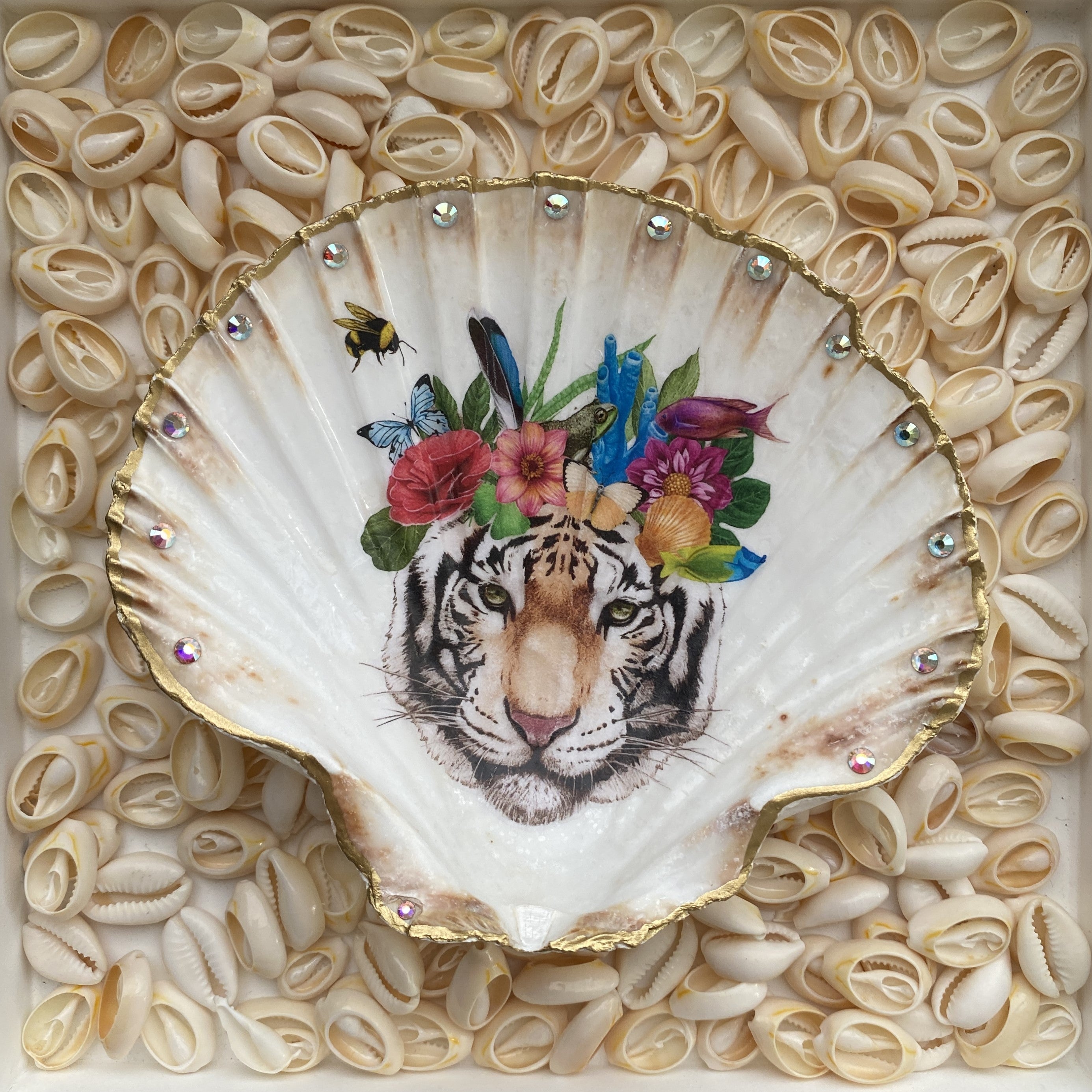 Muschel-Schale "Tiger" (XL Shell: bis 15cm) – ei-nzigartig